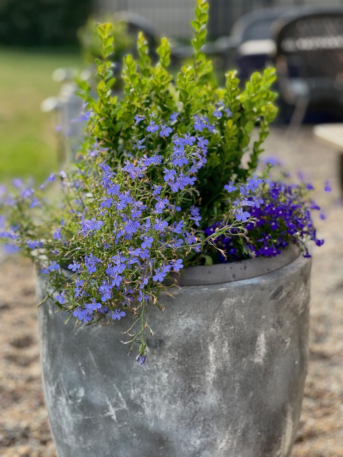 How to Make Planter Pots Looked Aged - Life Love Larson