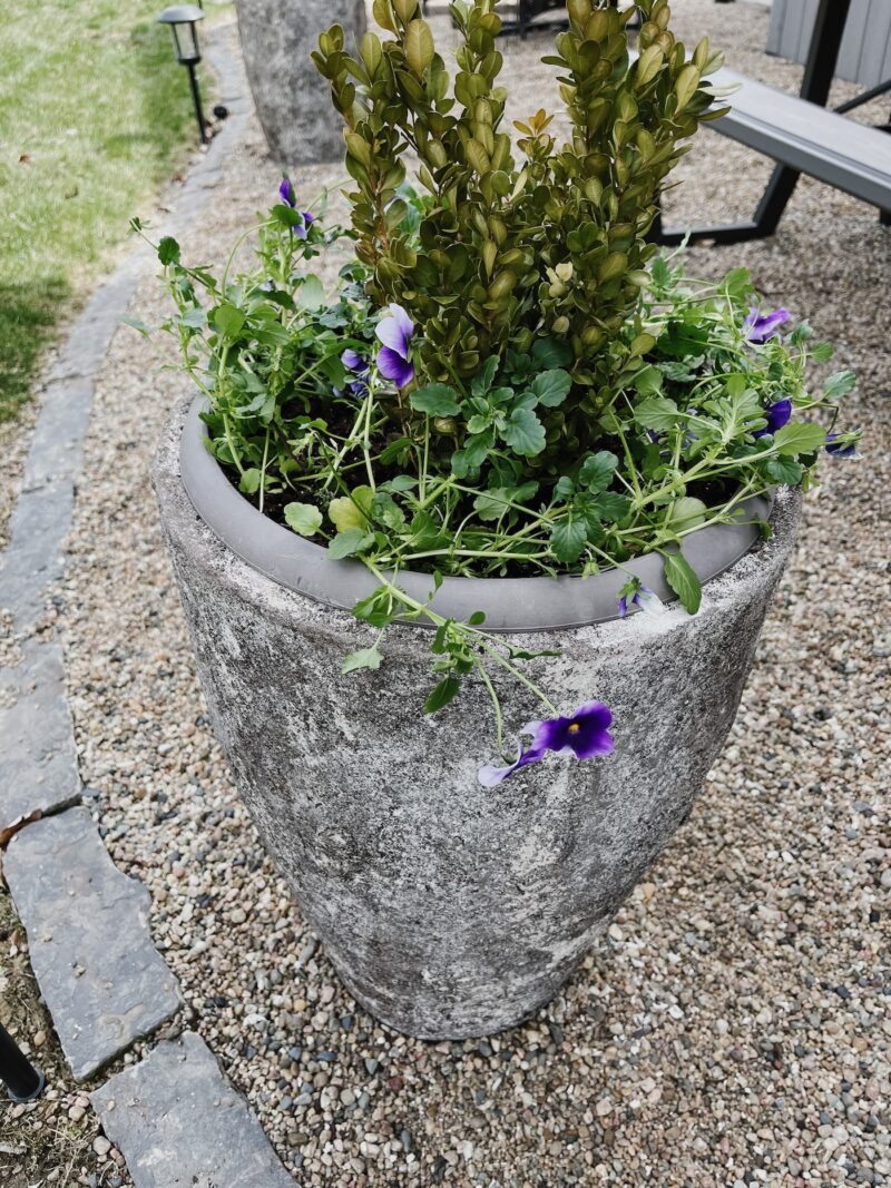 How to Make DIY Textured Planters Using Stucco - Life Love Larson
