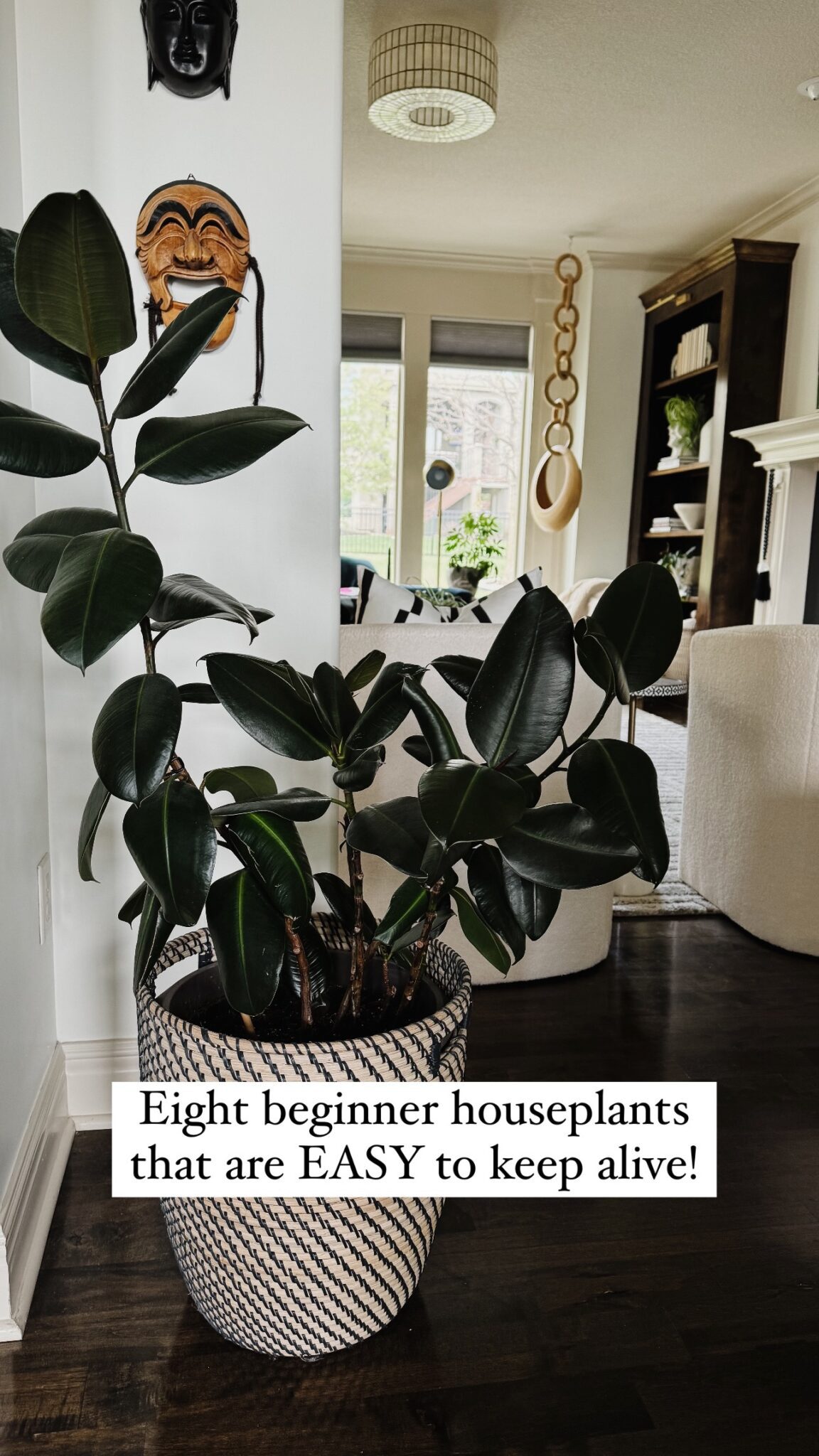Eight Beginner Houseplants That Are Easy to Keep Alive - Life Love Larson